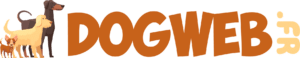 DogWeb - DogWeb.fr